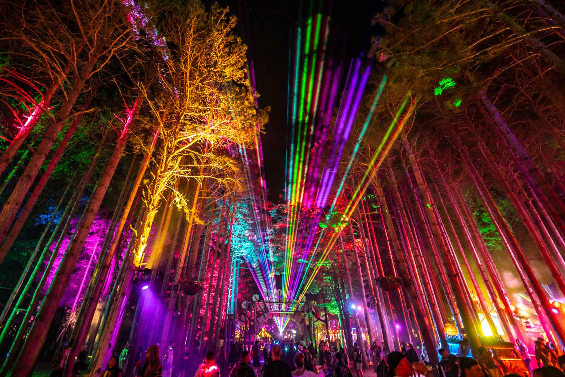 Electric Forest Festival 2024 Lineup