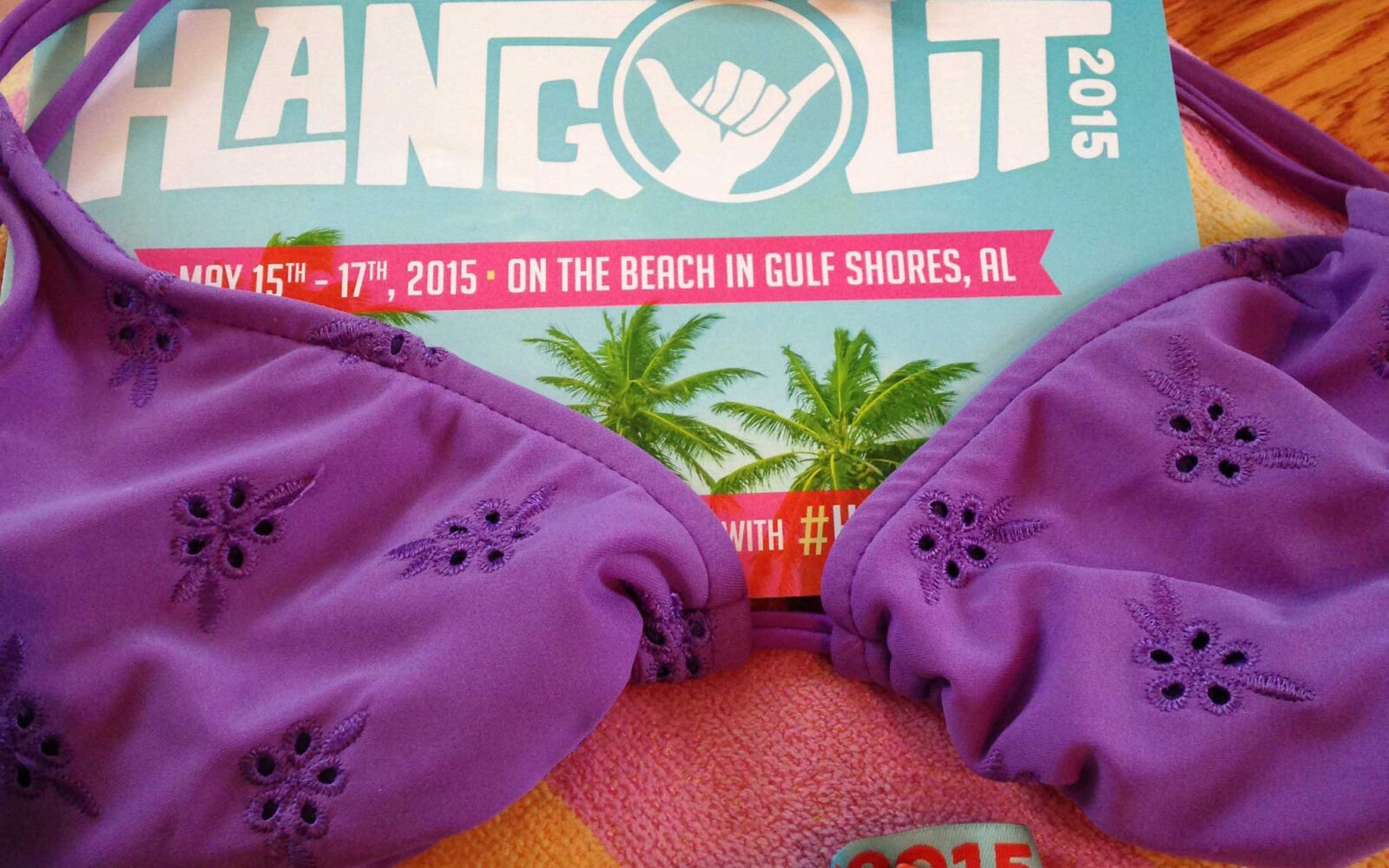 Hangout Music Festival 2024 Lineup